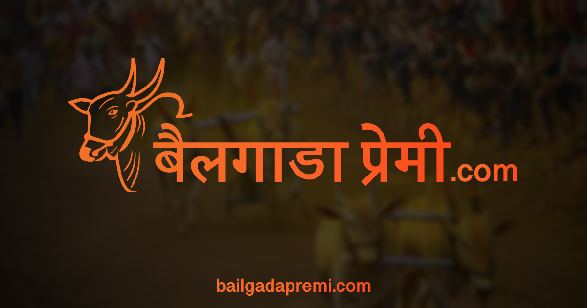 बैलगाडा प्रेमी - Upcoming Bailgada Sharyat Schedule, News
